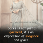 150 Best Traditional Saree Captions & Quotes For Instagram